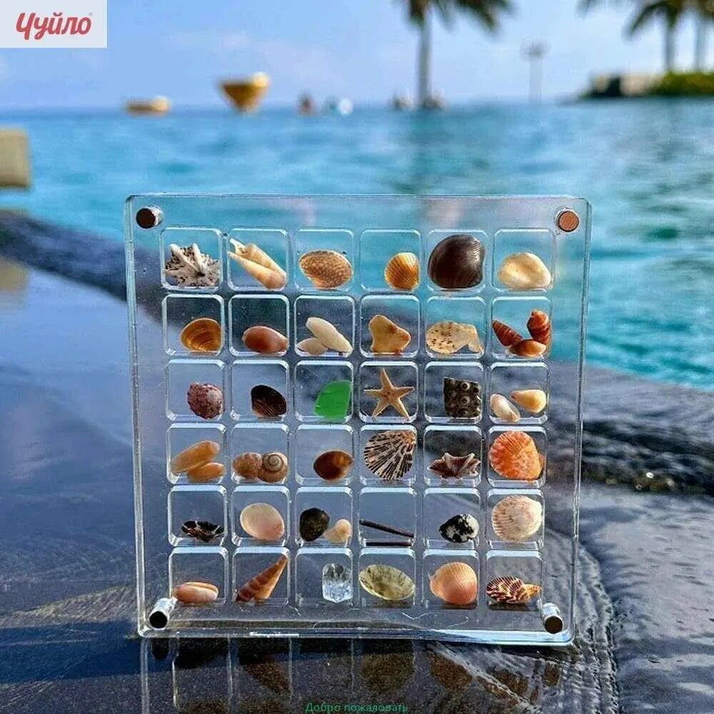 Коробка для хранения ракушек, 36 ячеек, 12,5*12,5 см, прозрачный магнитный акрил