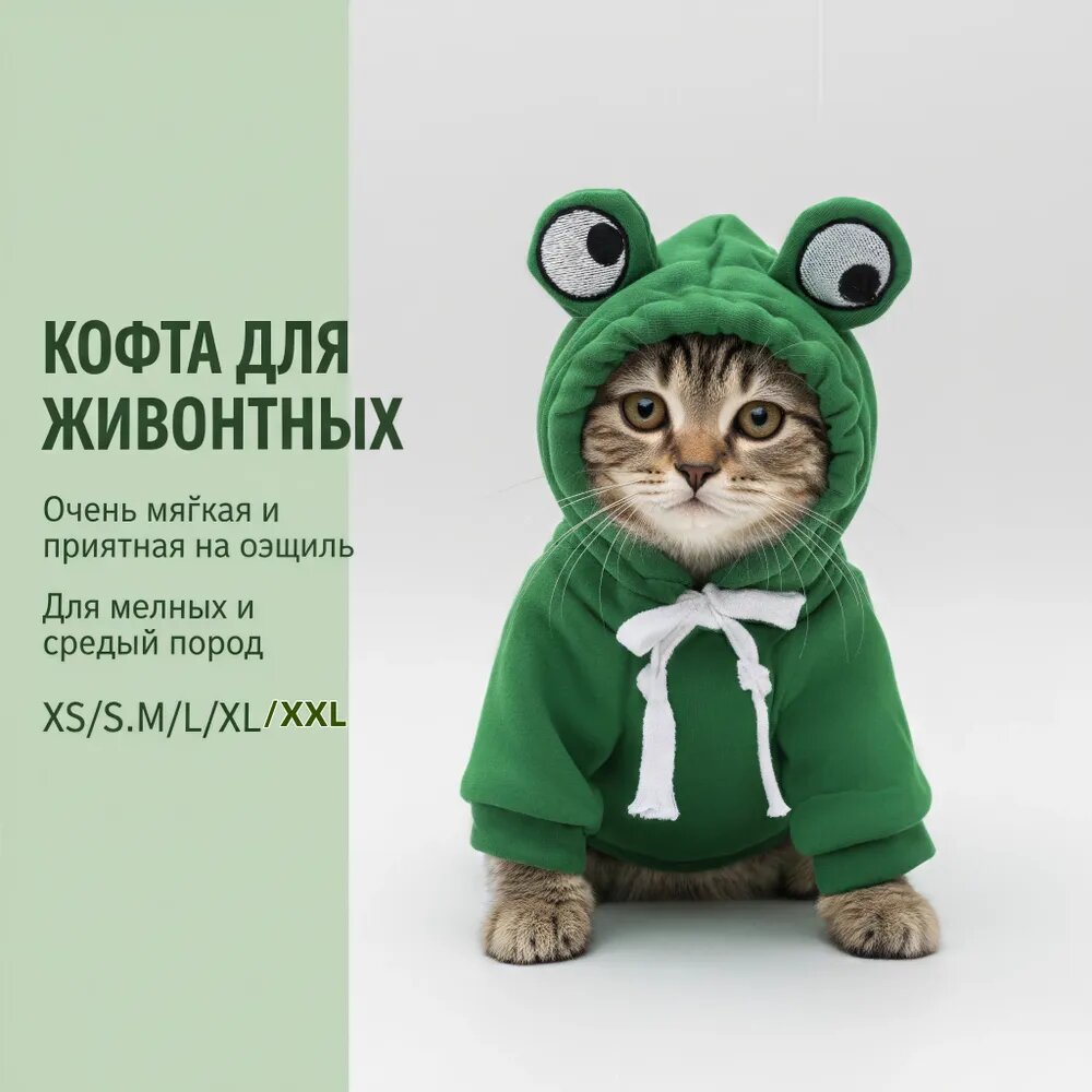 Одежда для животных