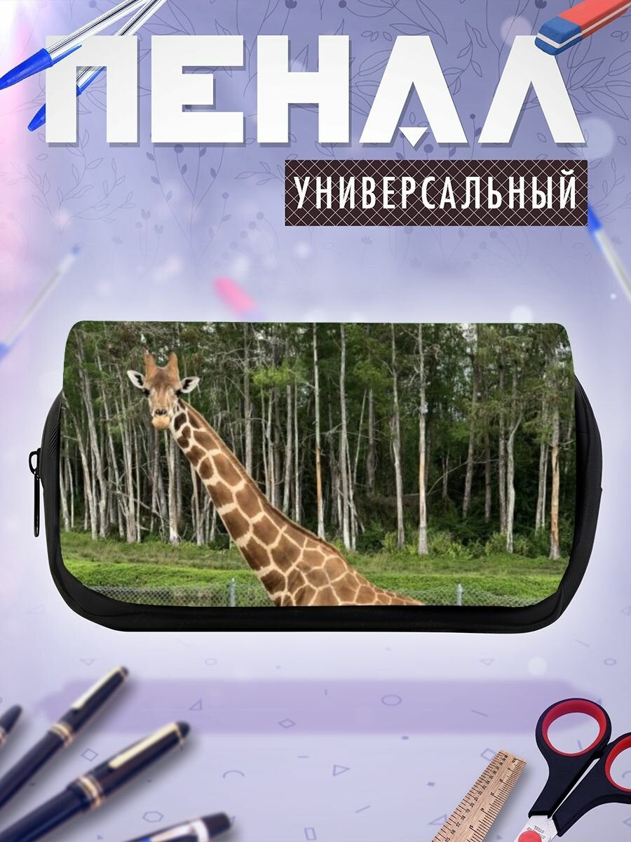 Школьный пенал Жираф наземные животные