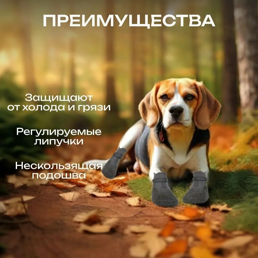 Обувь для собак — фото 1
