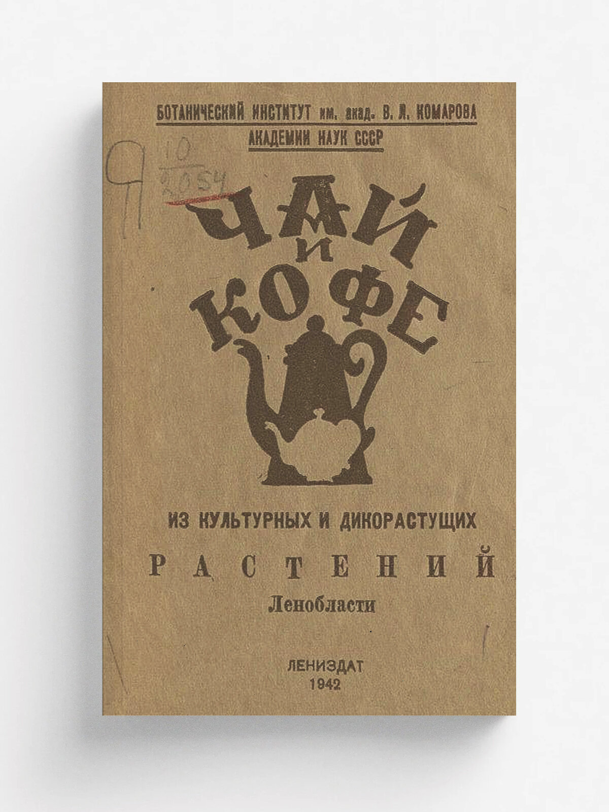 Чай и кофе из культурных и дикорастущих растений Ленобласти