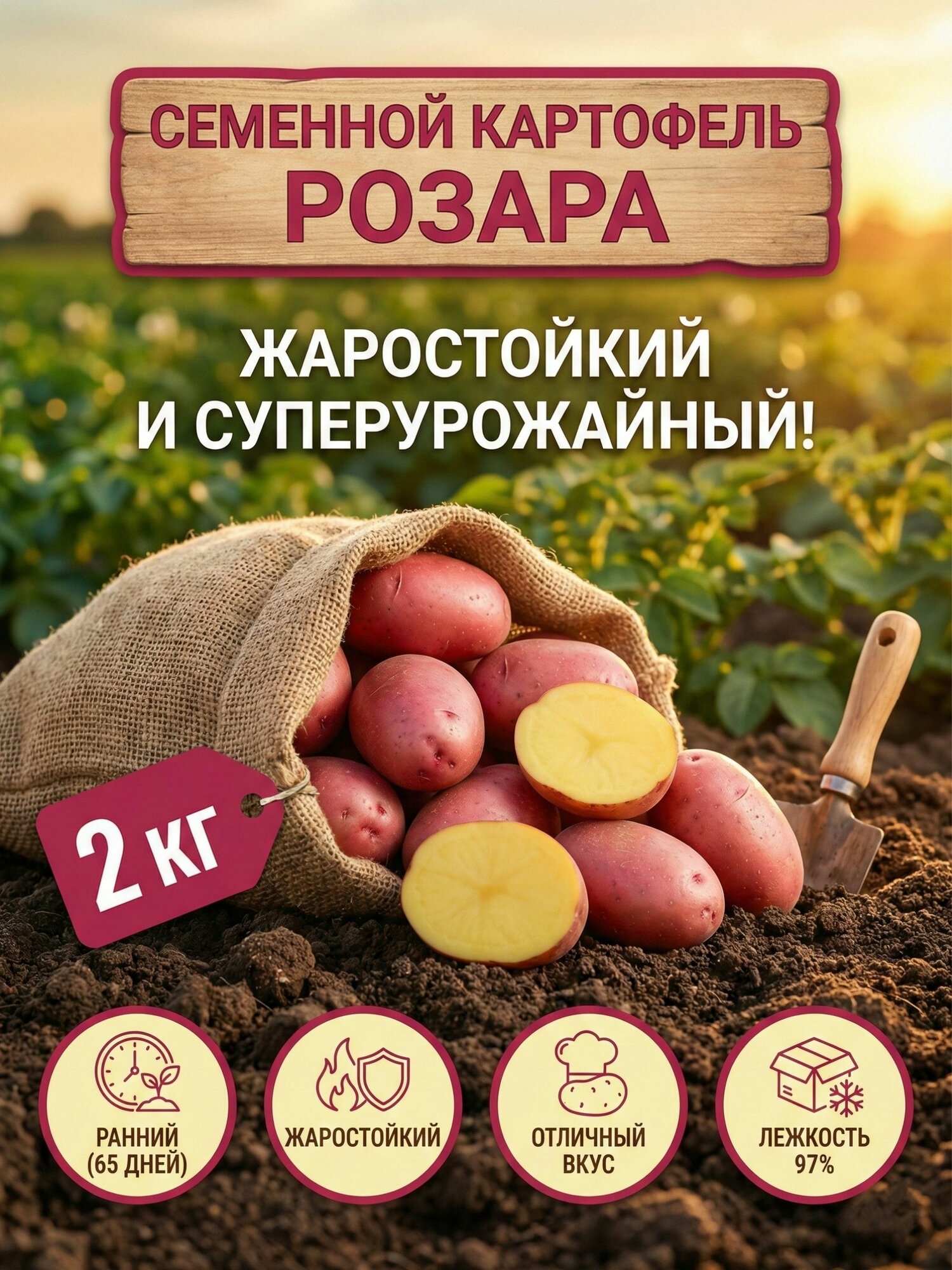 Картофель семенной Розара 2 кг клубни на посадку ранний скороспелый сорт для жарки, салатов, супов