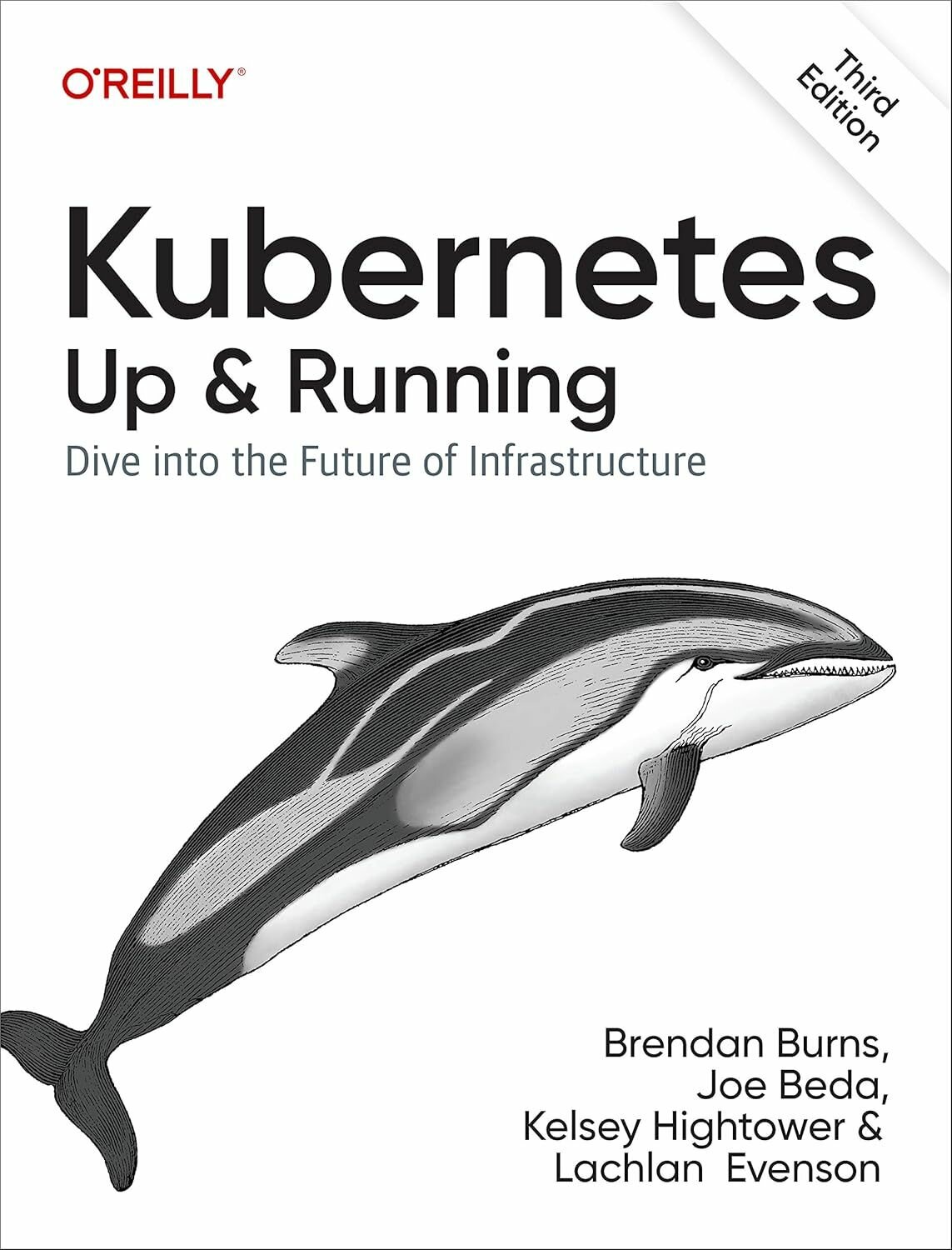 Kubernetes: Up and Running: Dive into the Future of Infrastructure Reprinted books