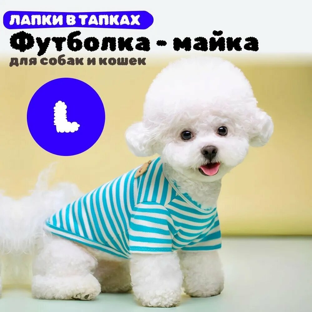 Одежда для животных