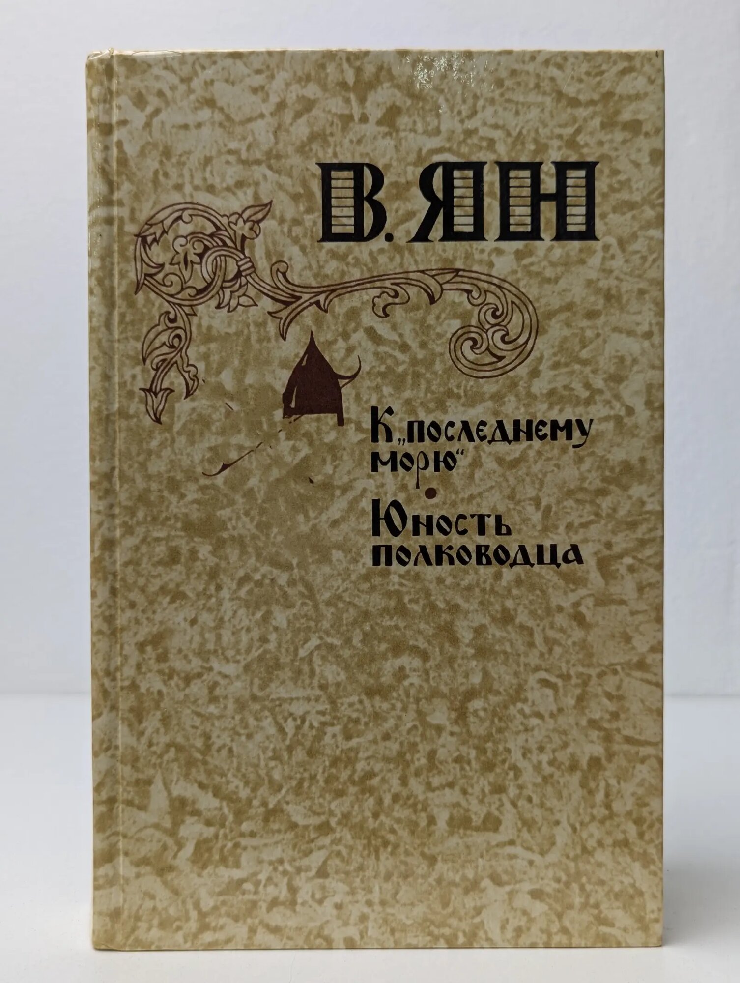 К "последнему морю". Юность полководца Ян Василий Григорьевич 1981