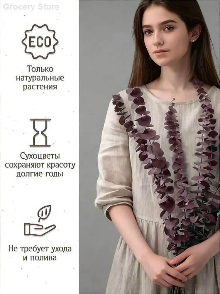 Сухоцветы Эвкалипт, 50 см, 10 шт
