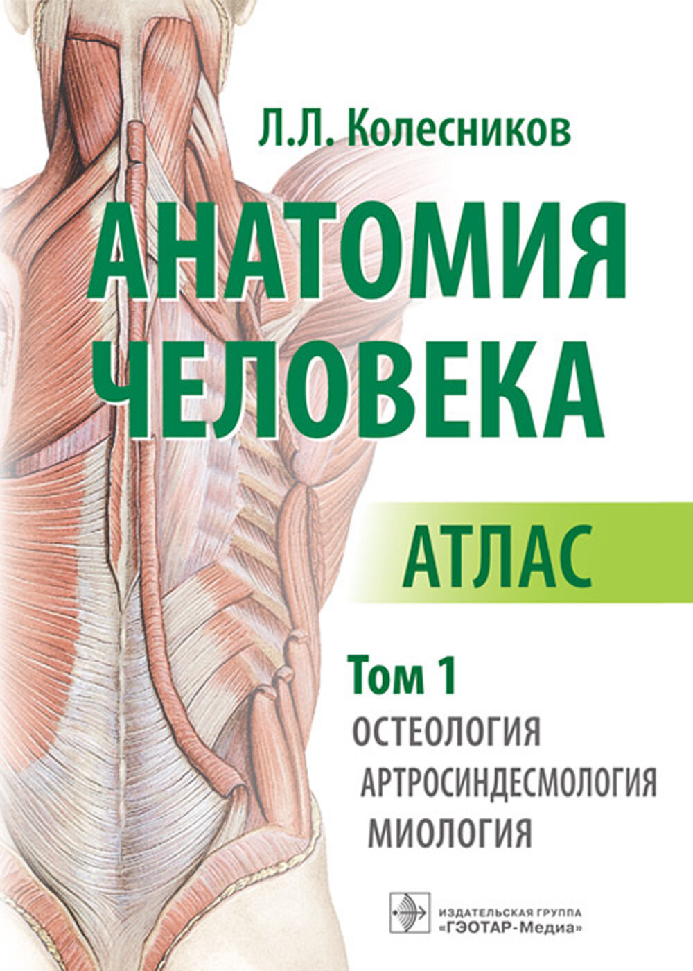 Уценка Анатомия человека. Атлас. В 3 т. Т. 1. Остеология, артросиндесмология, миология. Колесников Л.Л.