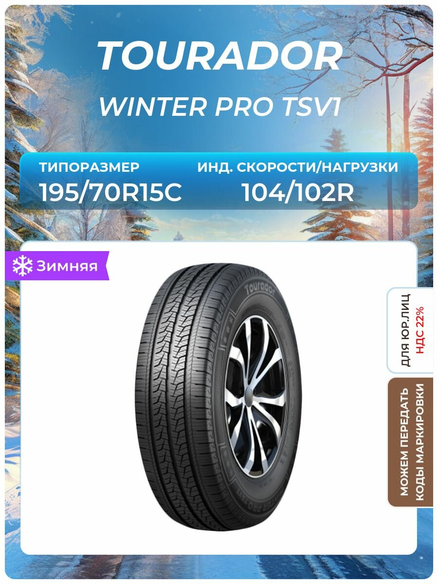 Шина Tourador WINTER PRO TSV1