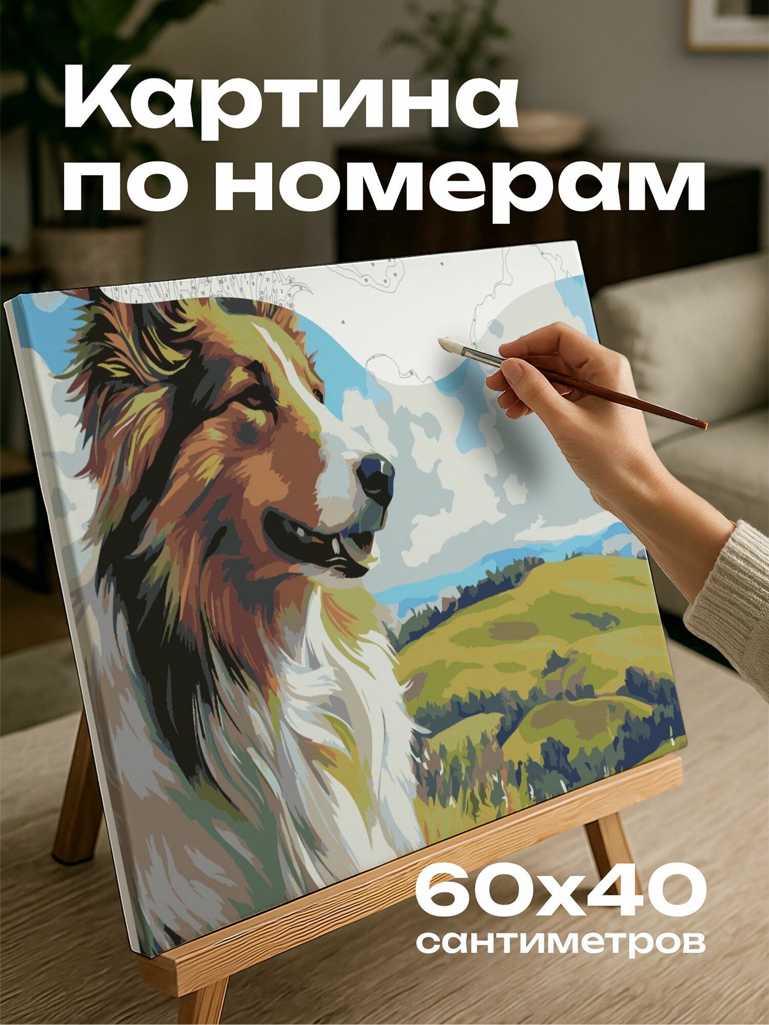 Картина по номерам 60x40 см, Колли, масляная картина, величественный, интеллект, преданность, зеленые холмы