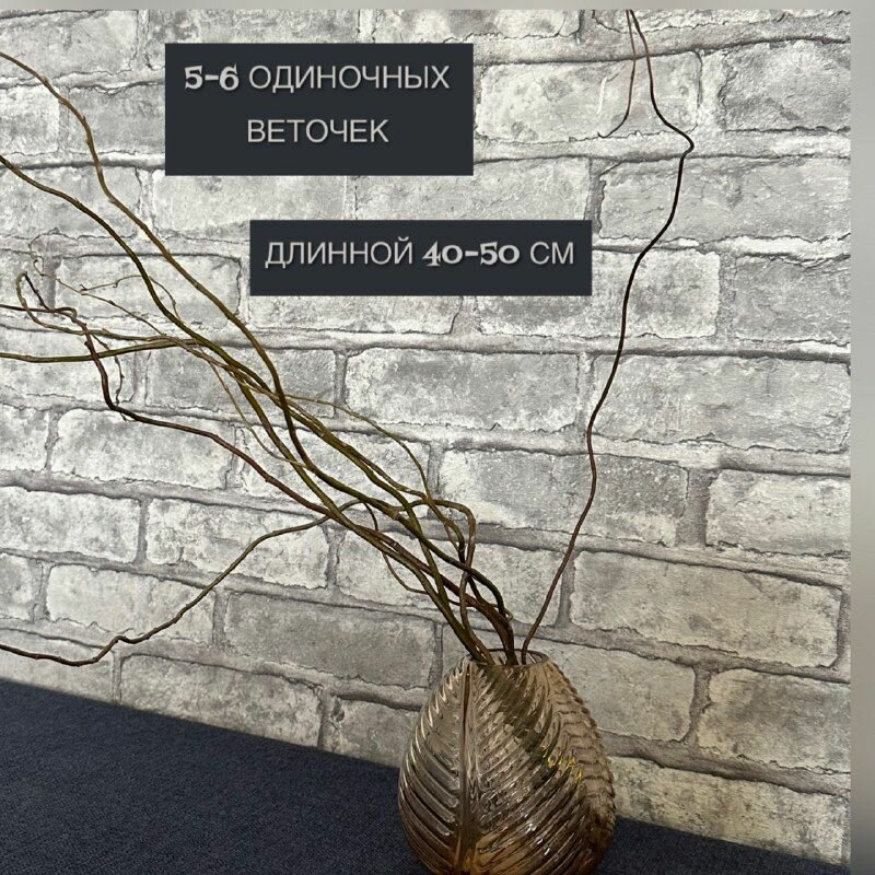 Сухоцветы для декора корилус 5-6 веток, декоративные ветки ивы извилистой.