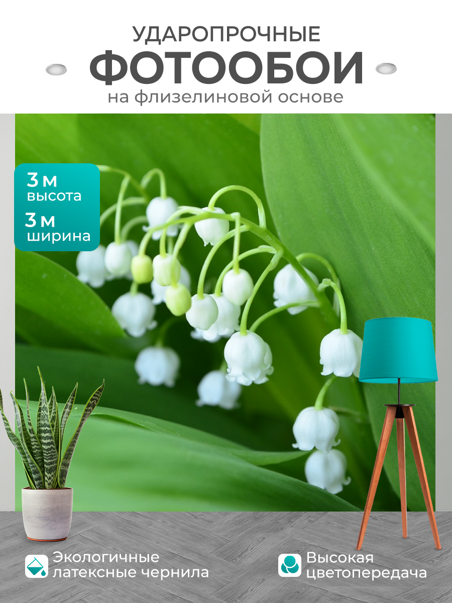 Фотообои моющиеся ударопрочные "Ландыш, цветок, крупным планом" 300x300 см. флизелиновые на стену