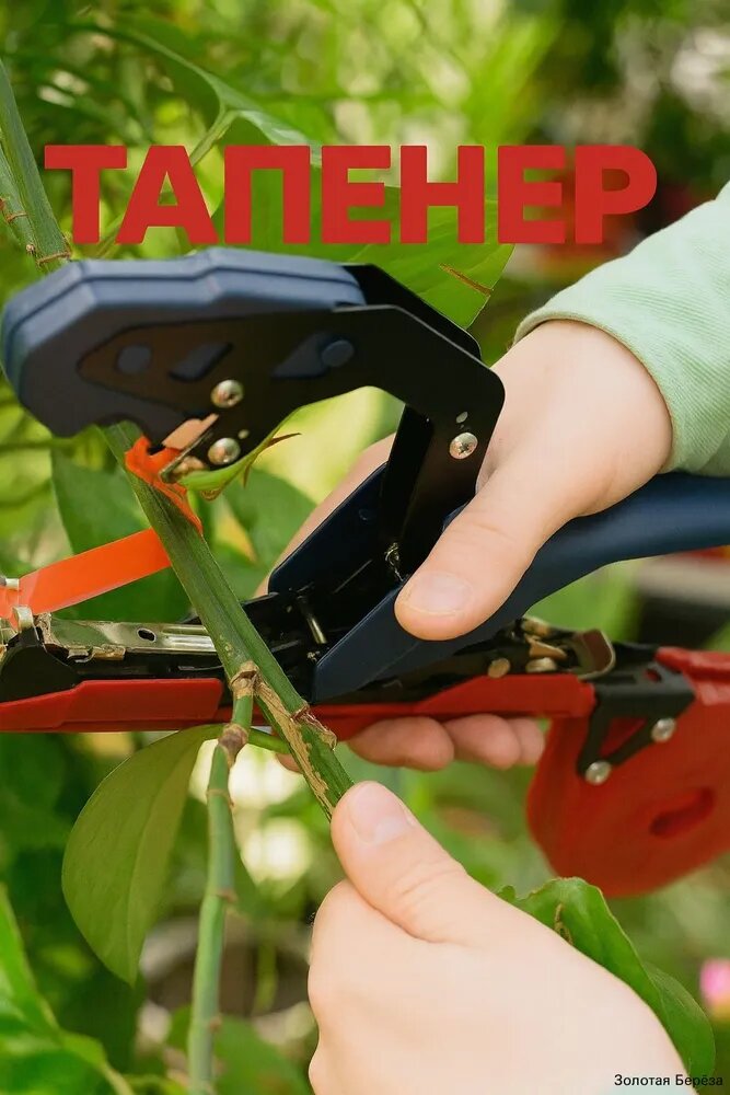 Тапенер