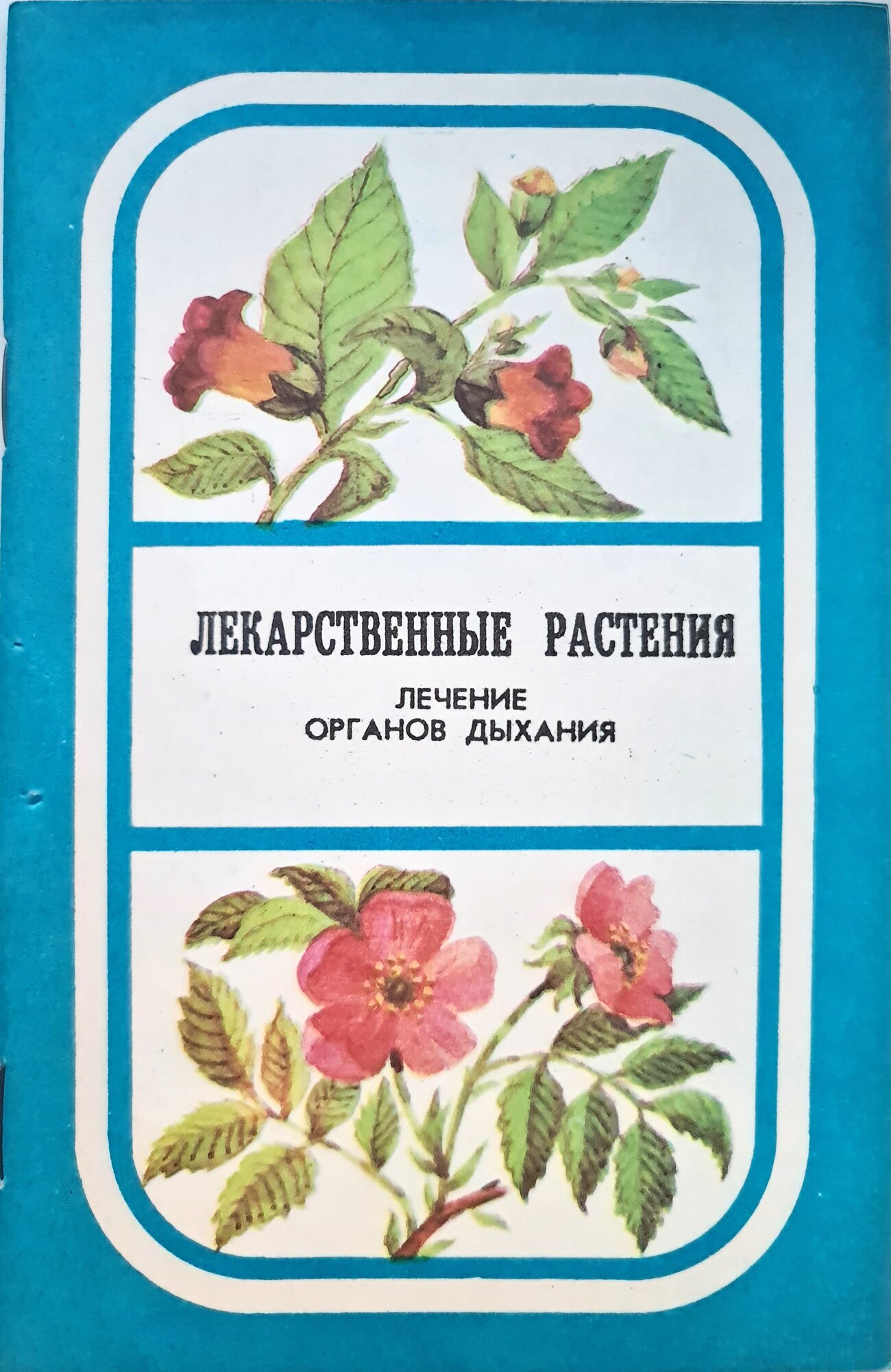 Лекарственные растения. Лечение органов дыхания