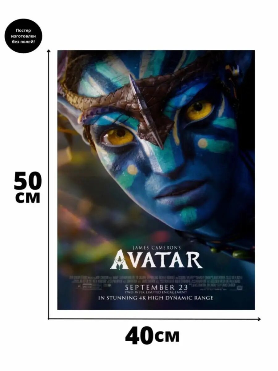 Постер Аватар, 40 x 50 см (без полей), материал бумага, без рамы