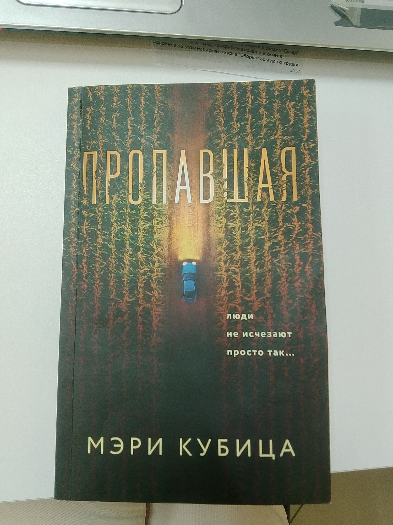 Книга Мэри Кубица "Пропавшая"