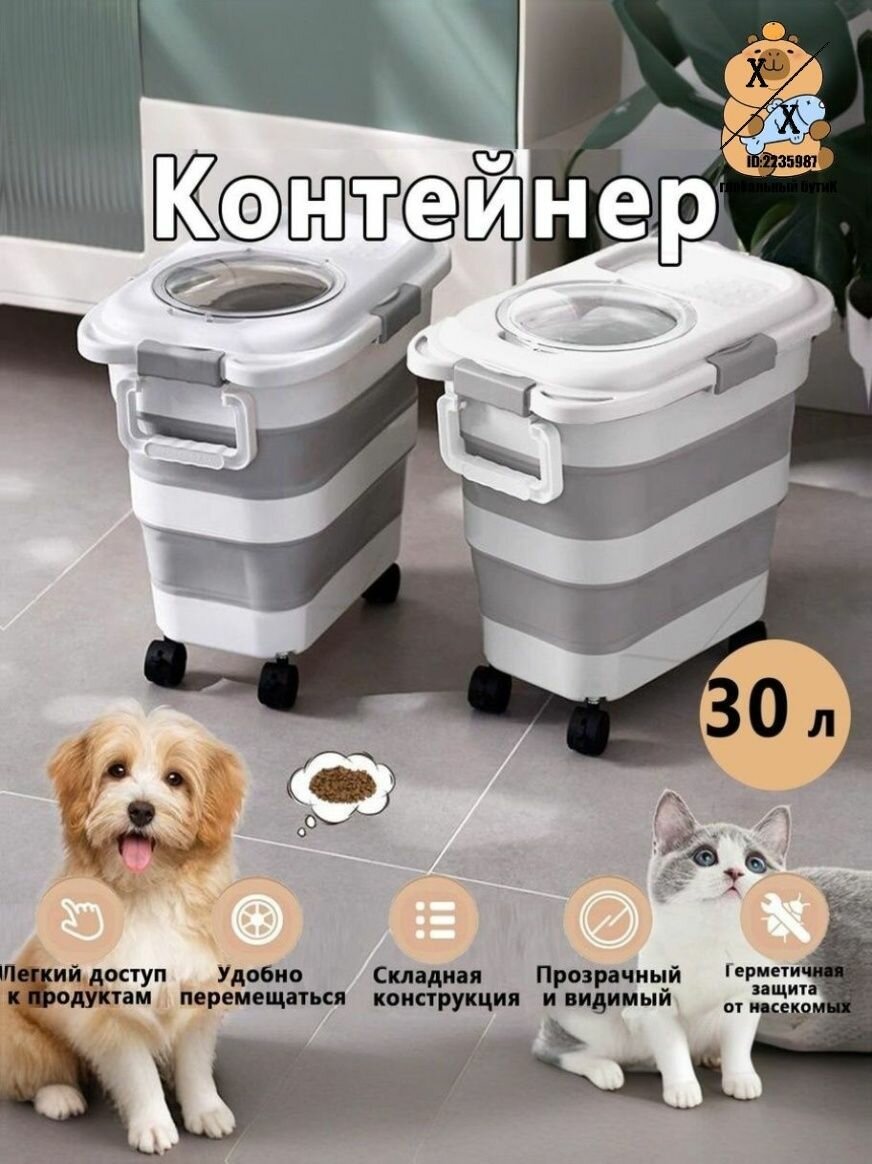 Эксклюзивный контейнер, стильный хит