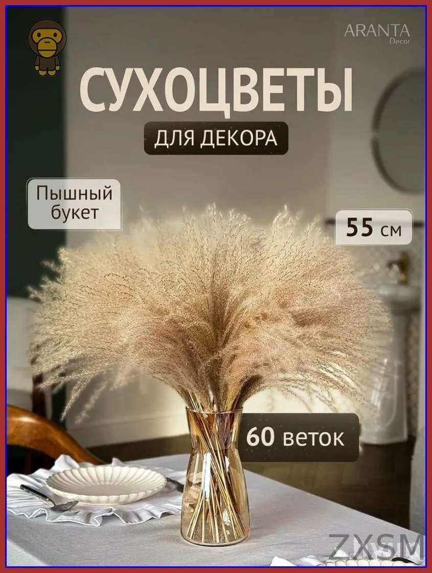 Сухоцветы Пампасная трава, Мискантус, 55 см, 140 гр, 1 шт