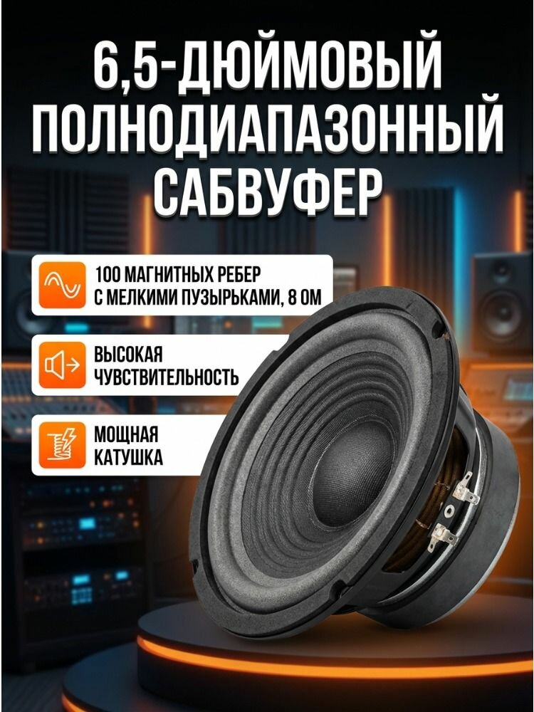 6,5-дюймовый полнодиапазонный сабвуфер