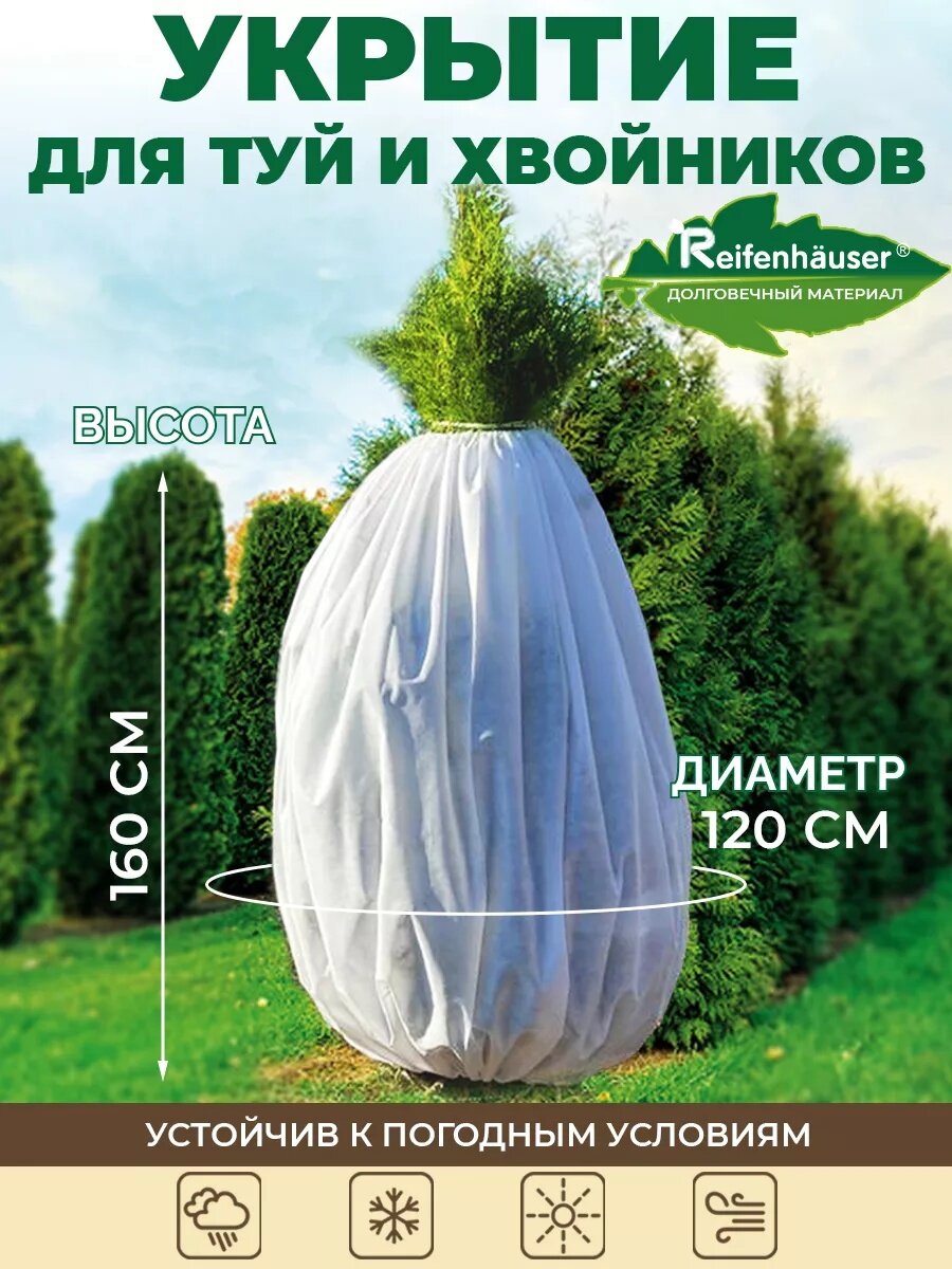 Укрытие хвойников и туй