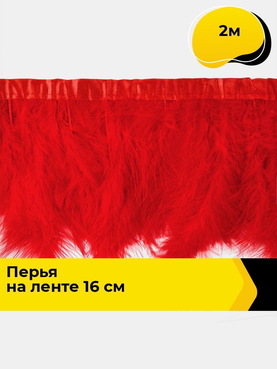 Перья кант перо (перья на ленте) для рукоделия и шитья, 2 м