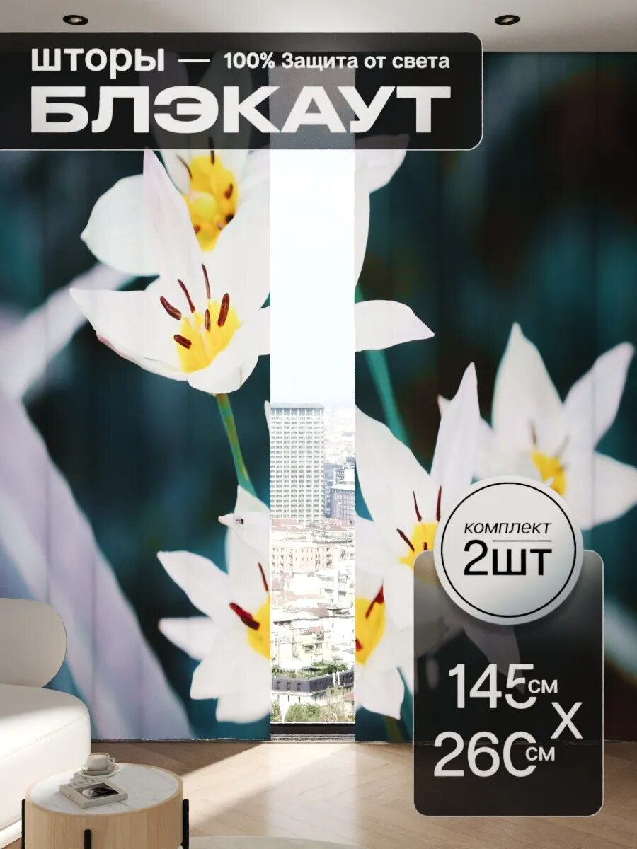 Шторы блэкаут 145x260 см 2 шт на окна плотные комплект