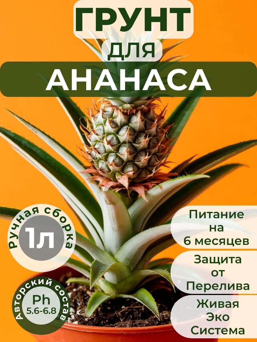 Готовый авторский грунт для Ананаса Вариегата премиум 1 л