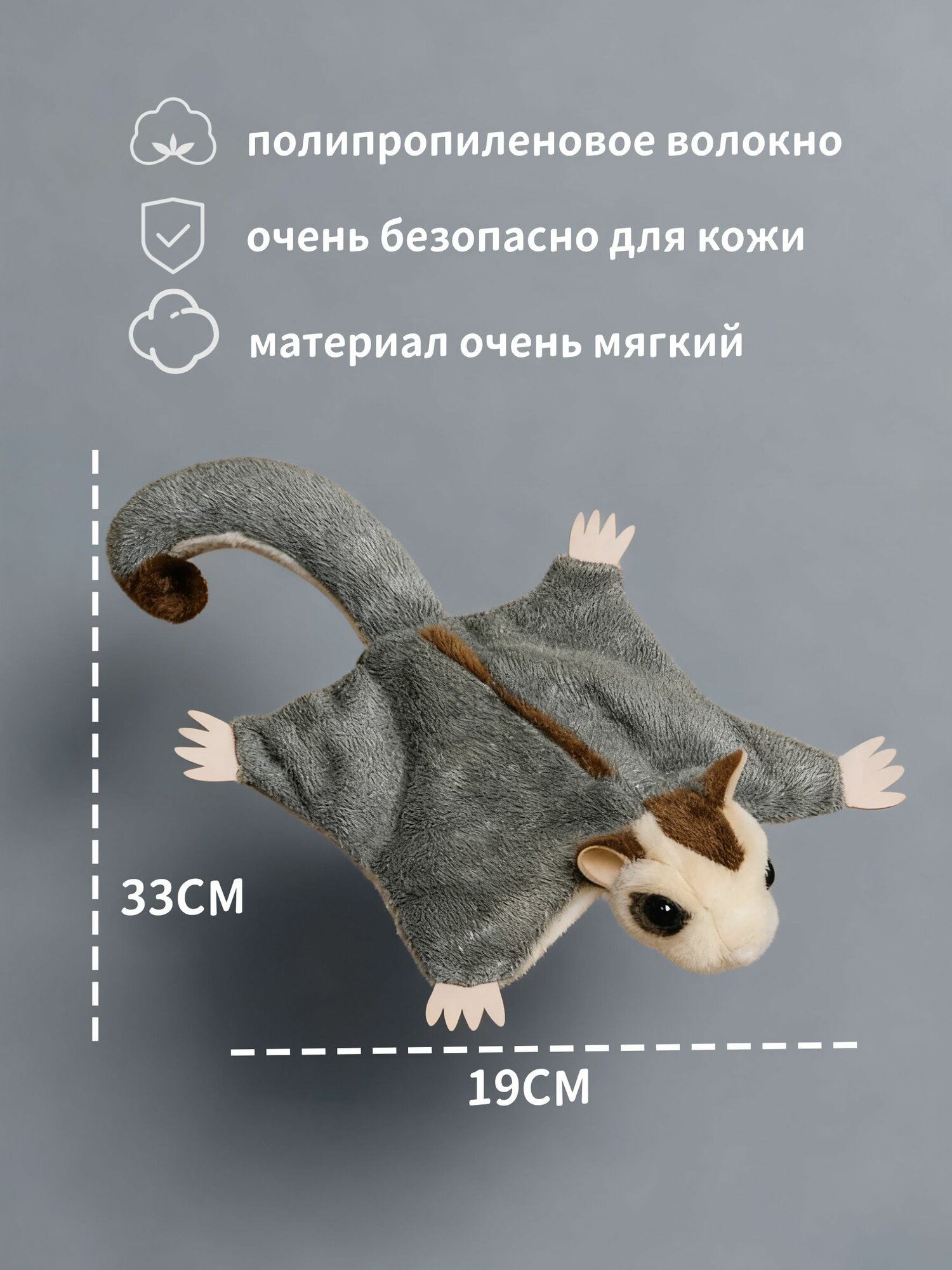 Белка летяга — фото 1