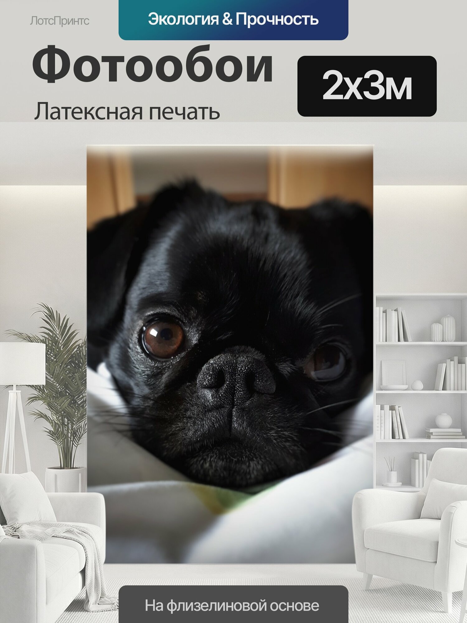 Фотообои моющиеся ударопрочные "Мопс, собака, лояльный к" 200x300 см. латексная печать