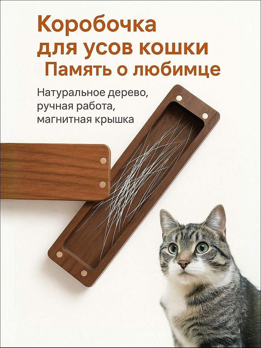 Коллекционная банка для кошачьих усов с магнитным зажимом для хранения бород и сувениров для домашних животных
