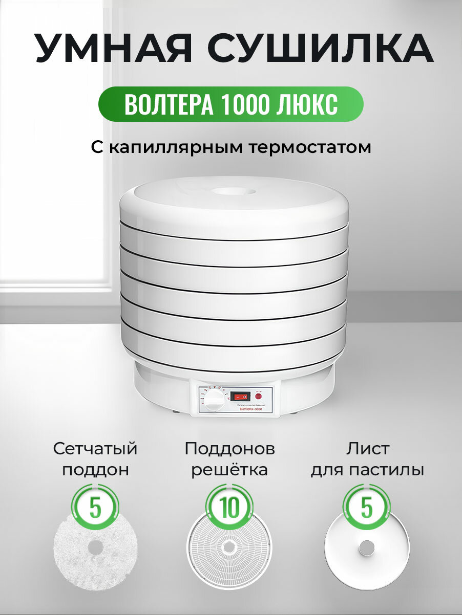 Электросушилка волтера 1000 Люкс с термостатом. Комплект:10 поддонов+5 листов для пастилы +5 сетчатых листов