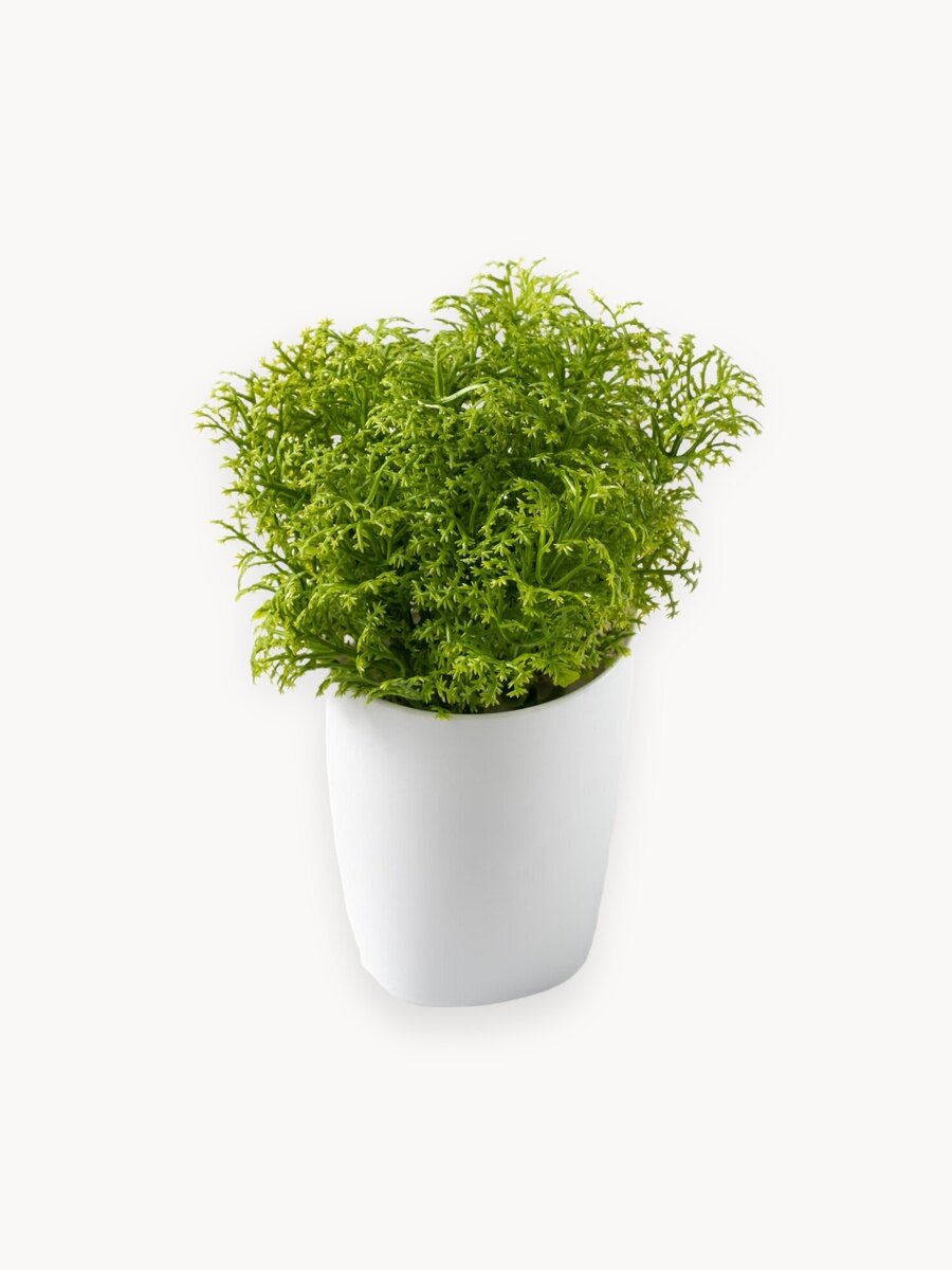 Искусственные цветы / GREEN HALL / Аспарагус декоративный в горшке / Букет цветов / Искусственные растения