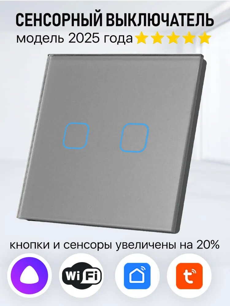 Сенсорный выключатель двухклавишный с WiFi