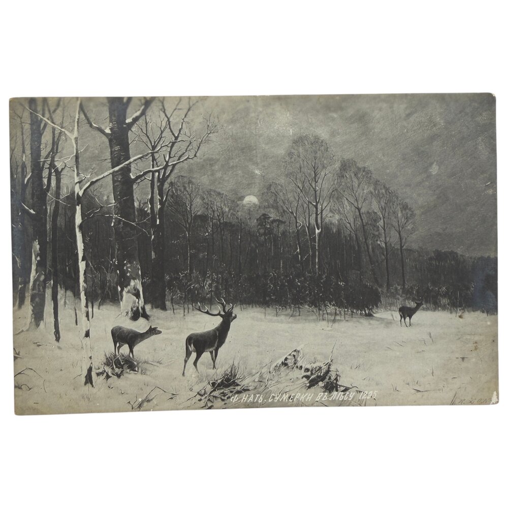 Почтовая открытка "Нать - Сумерки в лесу" 1900-1914 гг. Российская Империя
