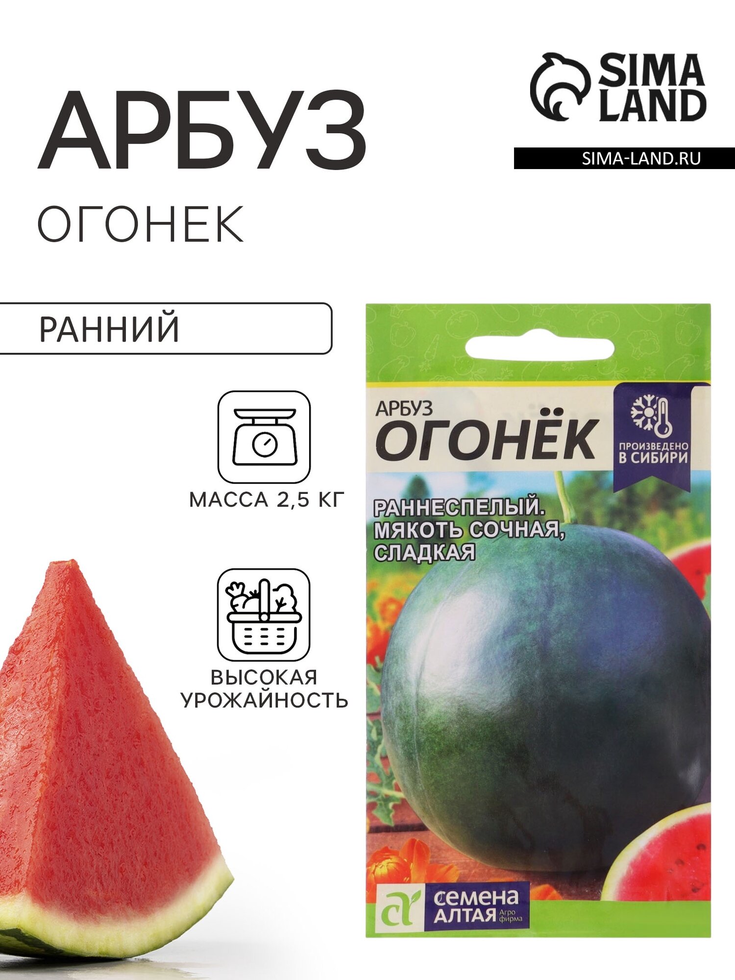 Арбуз «Огонёк», семена, 1 г, «Семена Алтая»