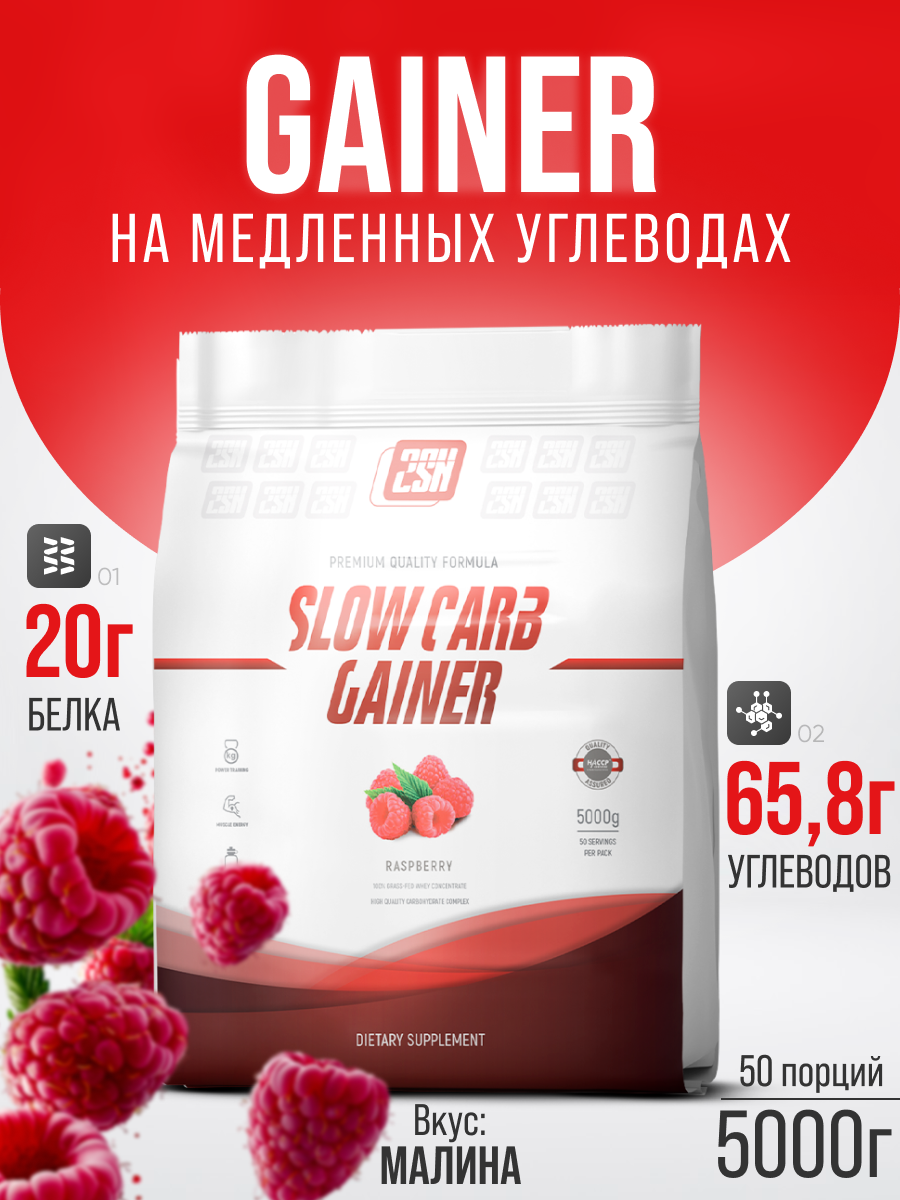Гейнер для набора мышечной массы с медленными углеводами 2SN Slow Carb Gainer 5000г (Малина)