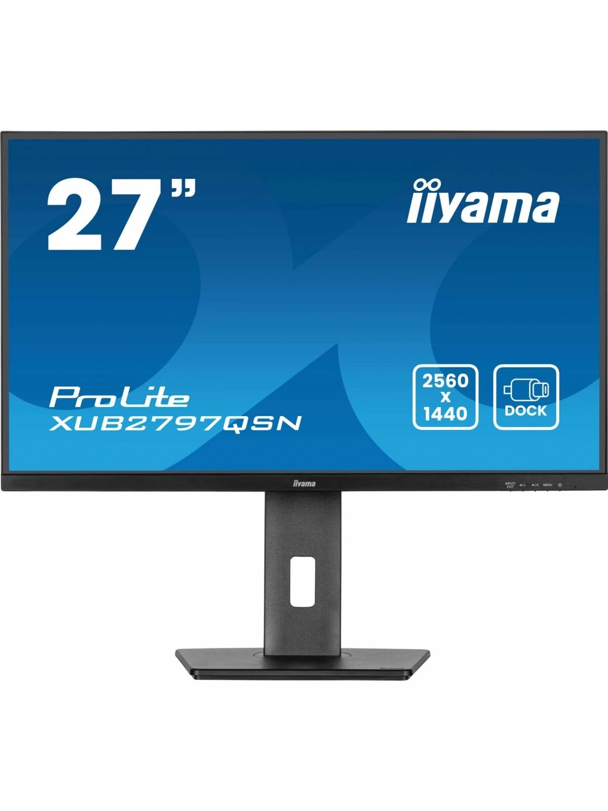 Монитор Iiyama 27" ProLite XUB2797QSN-B2 черный