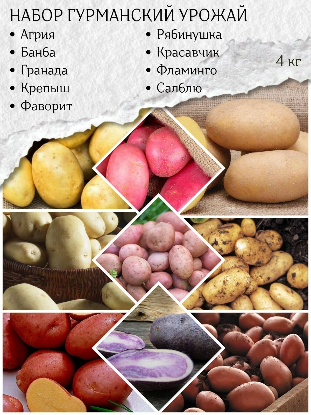 Набор картофеля из 9 сортов "Гурманский урожай" (белый, красный, фиолетовый)