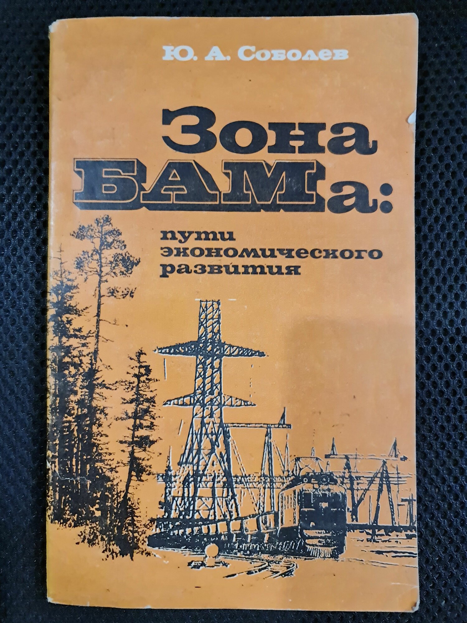 Раритет книга Ю. А. Соболев "Зона БАМа: пути экономического развития" Мысль, 1979 г. Тираж 13000