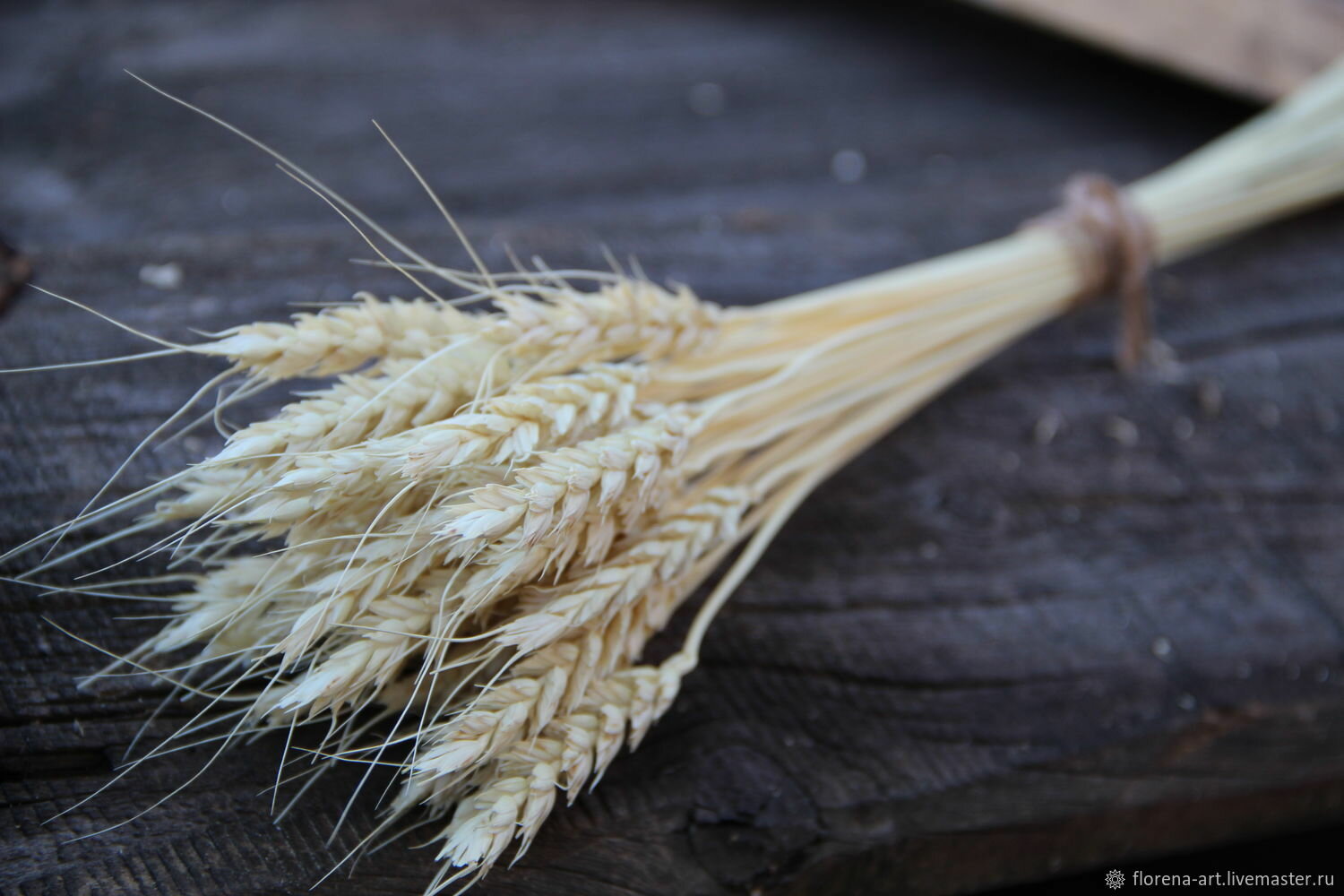 Колоски 15 шт Пшеница Остистая. Сухоцветы для декора 20-25 см