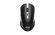 Мышь PHILIPS, multicolor, оптическая, USB, до 1600 DPI, многоцветная подсветка