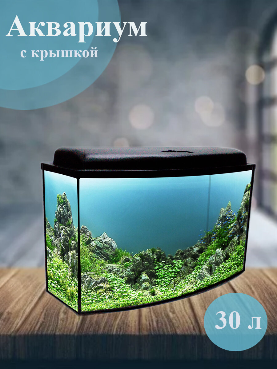 Аквариум "Телевизор" 30 литров, с крышкой и подсветкой, аквариум с гнутым стеклом