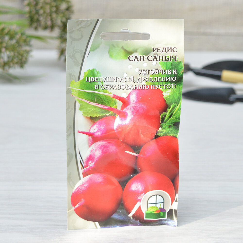 Редис раннеспелый «Сан Саныч» 10 шт, устойчив к холодам и болезням
