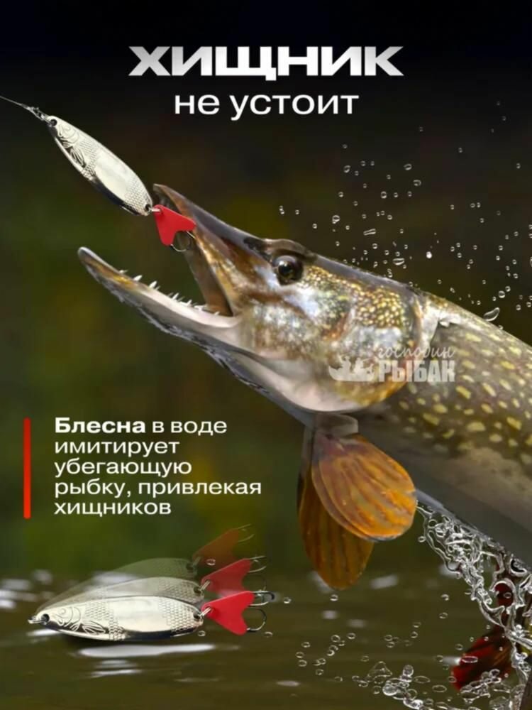 Набор блесен 17 штук — фото 1