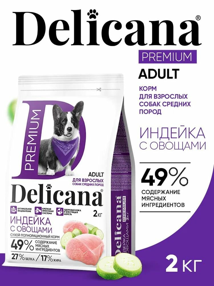 Сухой корм Delicana для взрослых собак средних пород, индейка с овощами, 2 кг