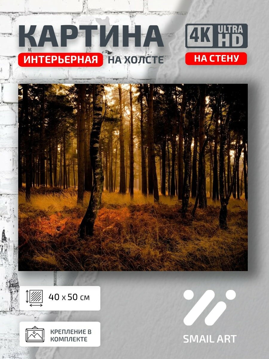Картина на холсте интерьерная 40 на 50 на стену Природа Лес для спальни пейзаж