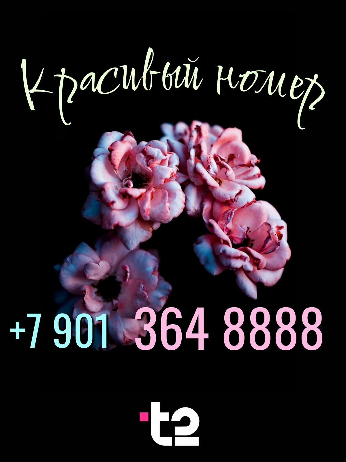 Сим-карта
