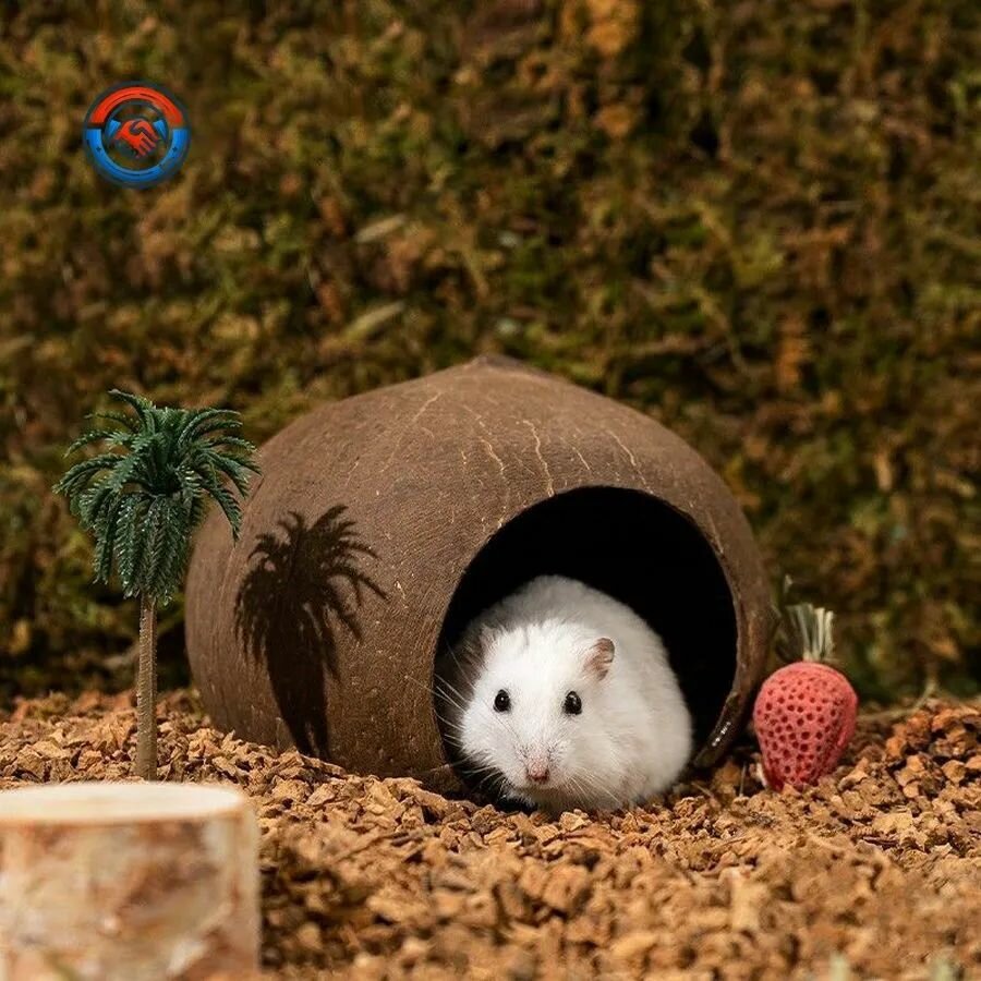 Домик для черепах и мелких питомцев из кокоса, уютный натуральный укрытие для ящериц, хомяков, крабов и золотых медведей, экологичный аксессуар для террариума и клетки