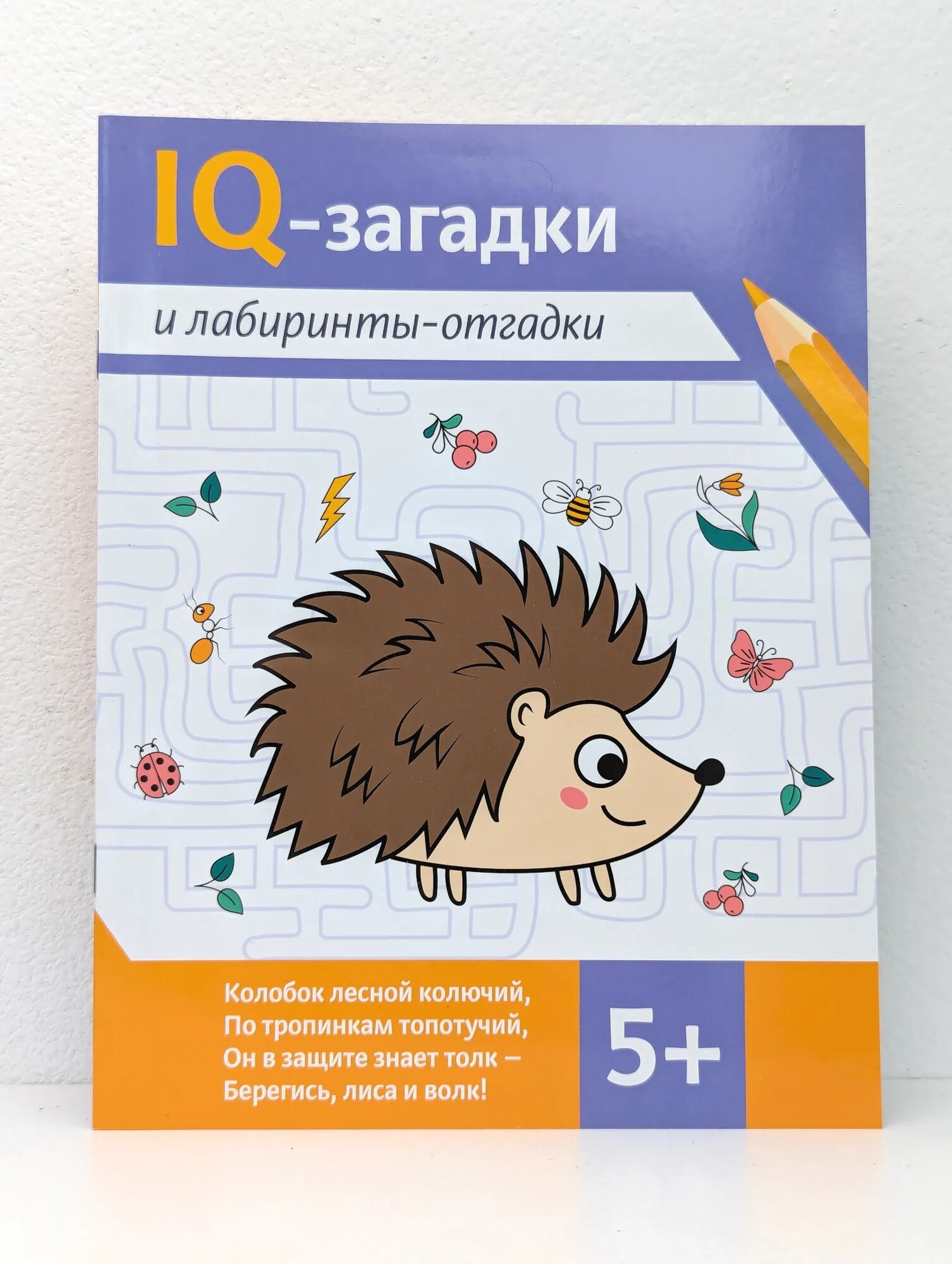 IQ-загадки и лабиринты-отгадки: 5+ Погосова Карина Валерьевна, Сон Светлана Леонидовна, Ильина Галина Юрьевна 2024
