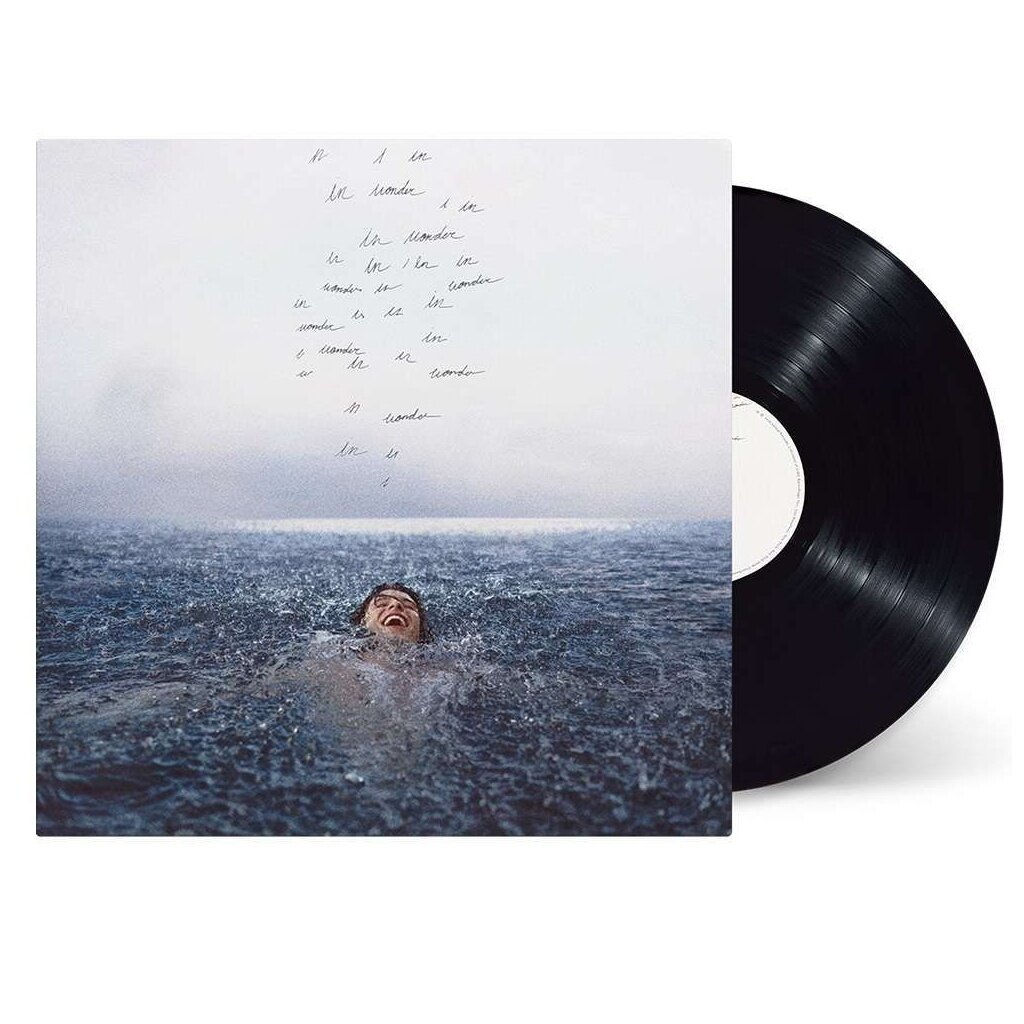 Виниловая пластинка Shawn Mendes - Wonder (1 LP)