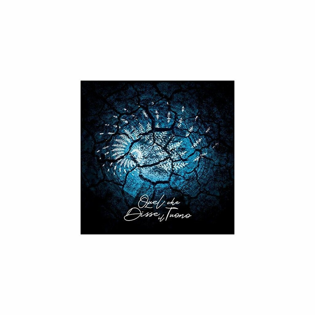 Виниловая пластинка Quel Che Disse Il Tuono - Il Velo Dei Riflessi (1 LP)